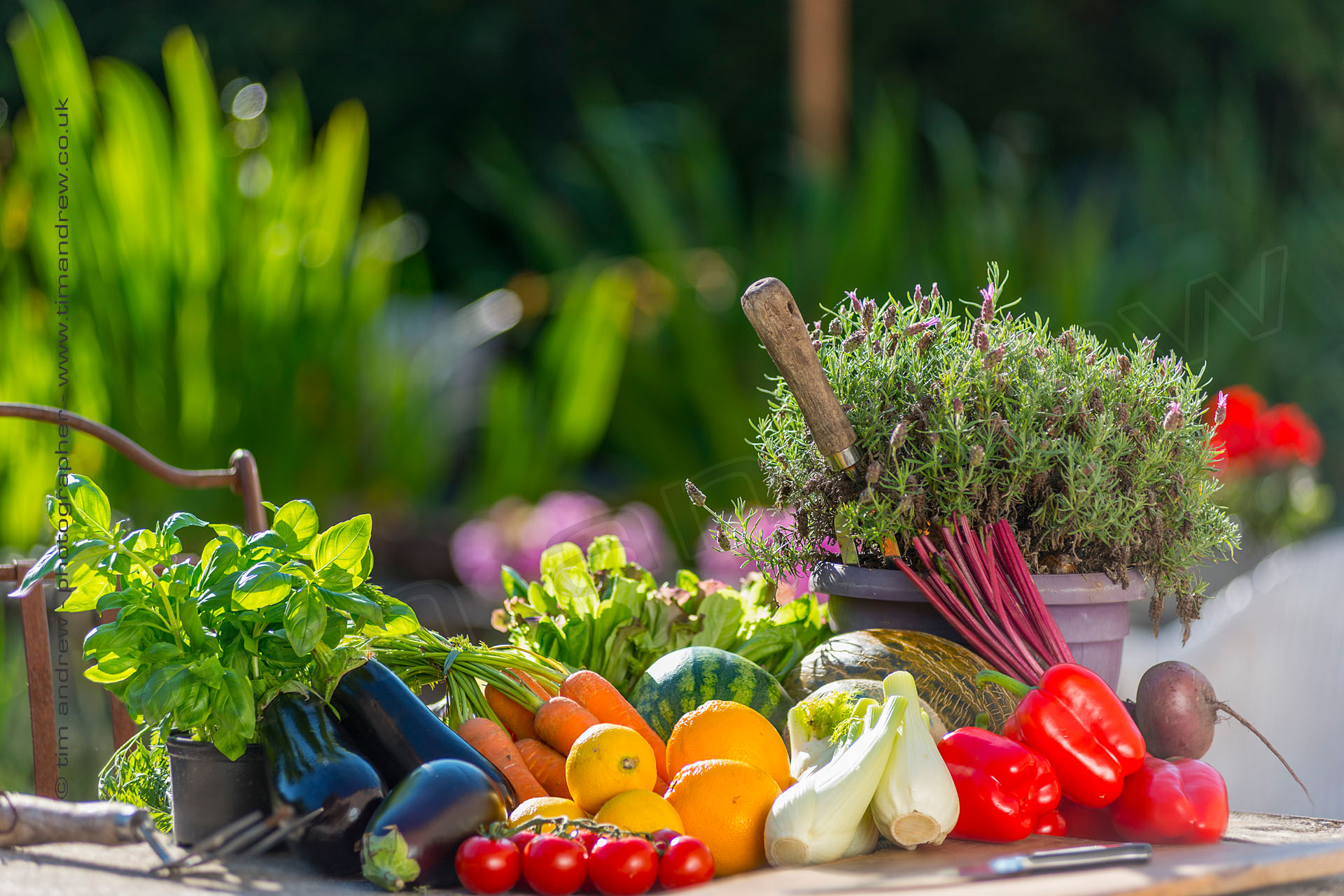 Tim Andrew – professional | car photographer | » Portfolios