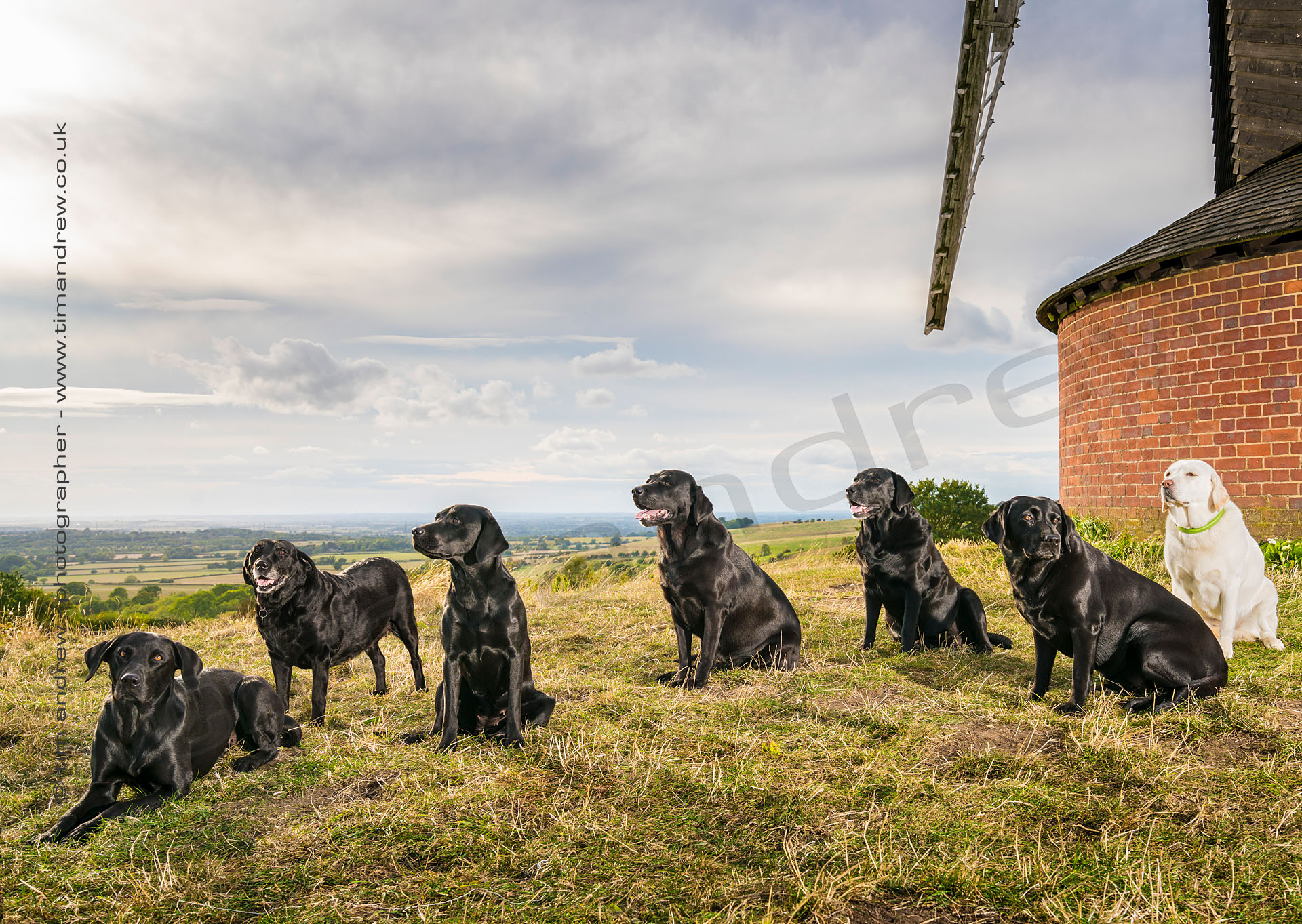 Tim Andrew – professional | car photographer | » Portfolios